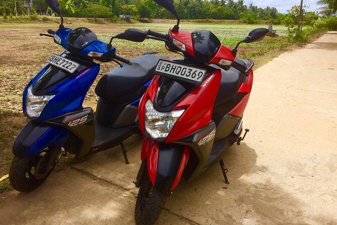 Scooter rent - Introduction