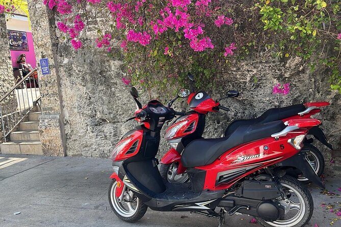 Scooter Rental Nassau - A Detailed Look at the Nassau Scooter Rental Experience