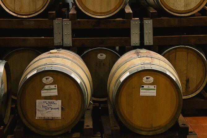 Scoprire la Vera Tintilia del Molise, Autentico ed Eccellenso - An In-Depth Look at the Tour Experience
