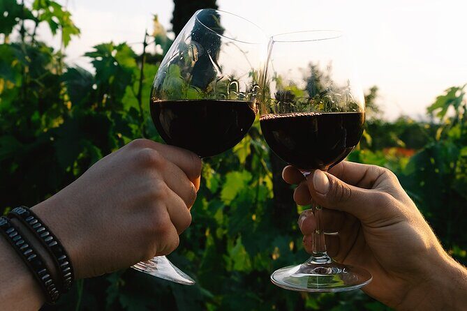 Scoprire la Vera Tintilia del Molise, Autentico ed Eccellenso - Final Thoughts: Who Should Sign Up?