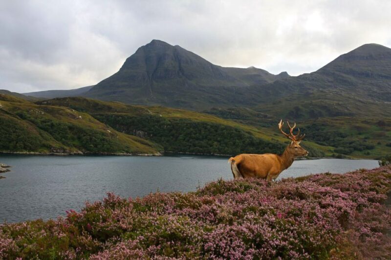 Scotland: Orkney and Northern Coast 5-Day Tour - Who Is This Tour Best For?