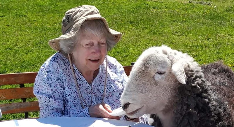 Scotland: Relaxation Retreat with Naughty Sheep - Key Points