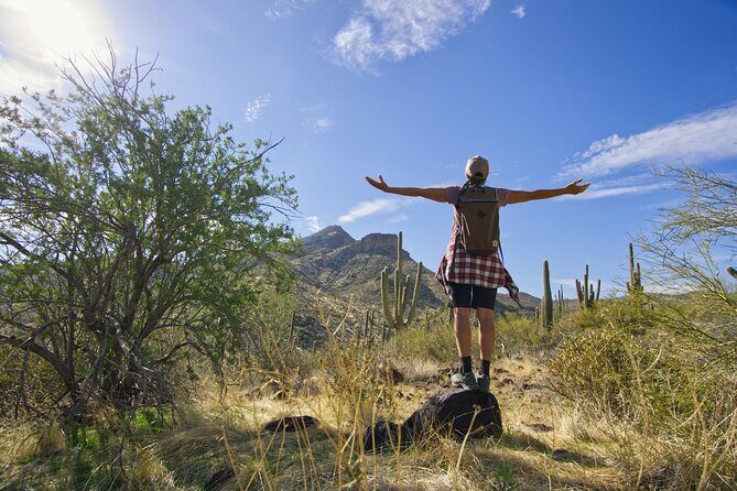 Scottsdale Desert Classic Guided Hiking Adventure - Introduction & What You Need to Know