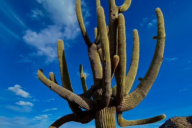 Scottsdale Desert Classic Guided Hiking Adventure - The Value and Practical Aspects
