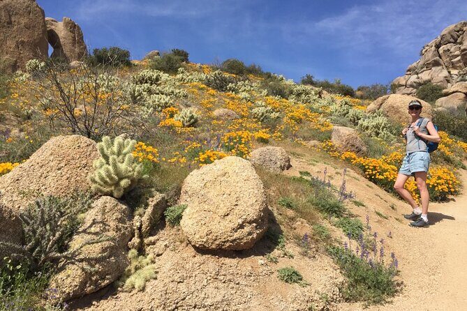 Scottsdale Desert Classic Guided Hiking Adventure - Why This Tour Works Well