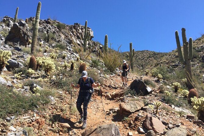 Scottsdale Desert Classic Guided Hiking Adventure - FAQ