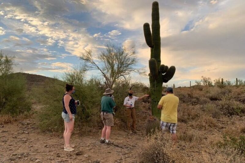 Scottsdale: McDowell Sonoran Preserve Hiking Tour - Practical Details & Value
