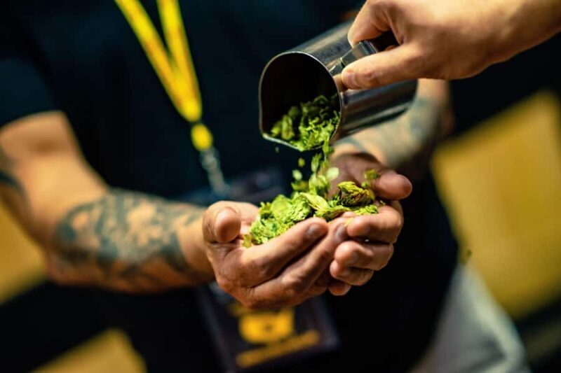 Scottsdale: Original Brew Tour with Beer Tastings and Snack - The Sum Up: Is the Scottsdale Brew Tour Worth It?