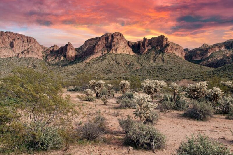 Scottsdale: Tonto National Forest Off-Road H1 Hummer Tour - The Experience from the Traveler’s Perspective