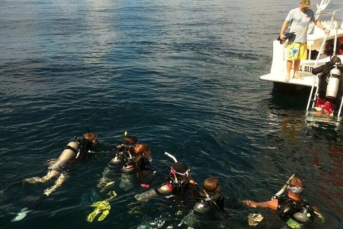Scuba Certification - What the Reviews Say