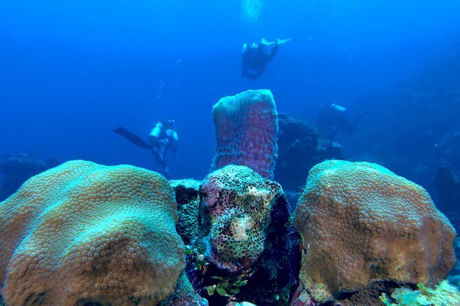 Scuba Certification - The Sum Up
