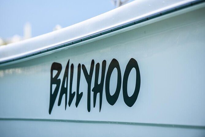 Scuba Dive and Snorkel Private Charter in Puerto Rico - What the Tour Offers and Who It’s For