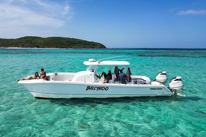 Scuba Dive and Snorkel Private Charter in Puerto Rico - What Travelers Say