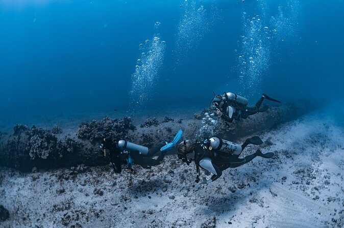 Scuba Dive at Electric Beach - Who Is This Tour Best For?