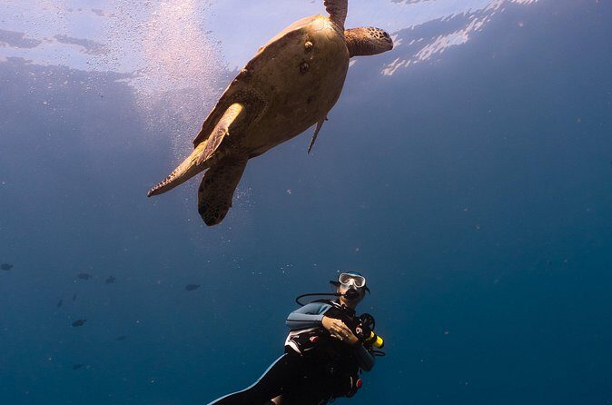 Scuba Dive at Electric Beach - The Sum Up