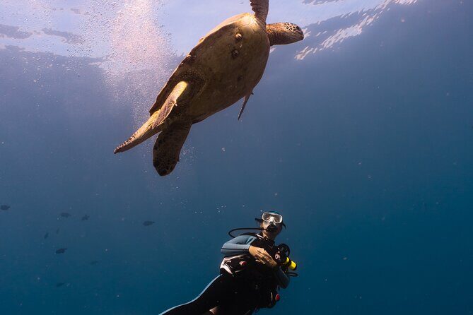 Scuba Dive at Electric Beach - FAQs