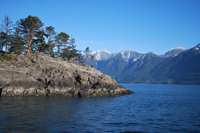 Scuba Dive Boat Charter in Vancouver (Certified Divers Only!) - The Value Versus Cost