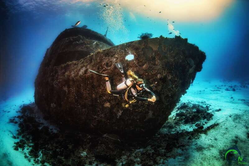 Scuba Dive in Playa del Carmen - 2 Dives (Certified divers) - Key Points