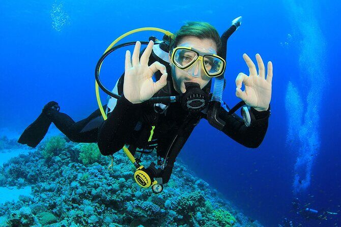 Scuba Dive in the best reefs in the Riviera Maya 2 tanks - FAQs