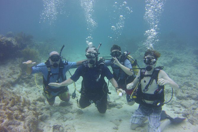 SCUBA Dive Key Largo Reef (min 6 divers) - An Inside Look at the Key Largo Reef Scuba Tour