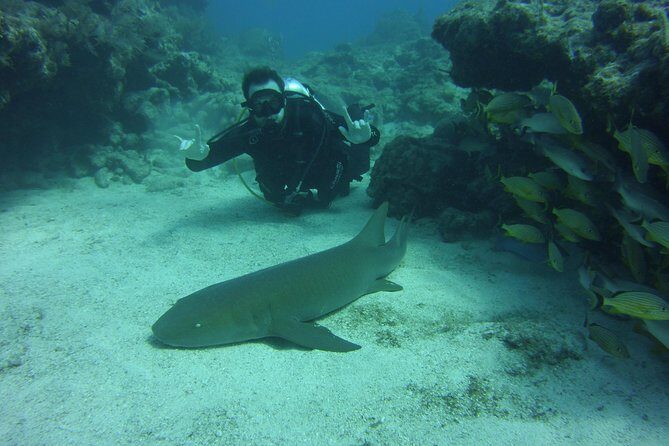SCUBA Dive Key Largo Reef (min 6 divers) - Diving Details and Practicalities