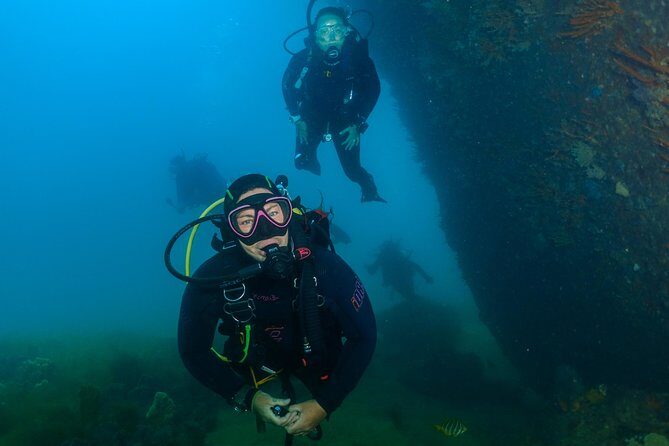 Scuba Dive The Beautiful Rottnest Island for Certified divers - Starting Point and Logistics