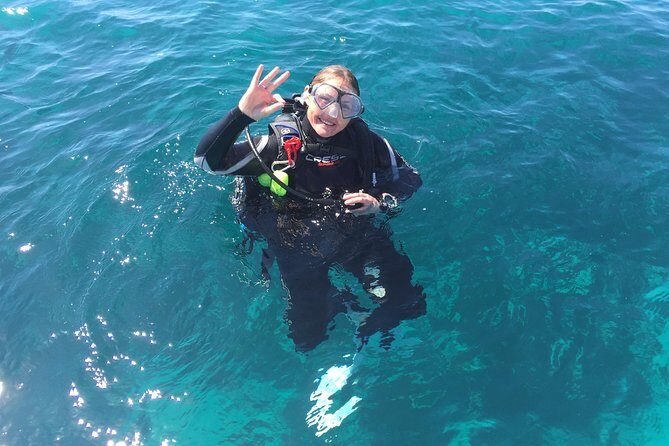 Scuba Dive The Beautiful Rottnest Island for Certified divers - The Dive Experience