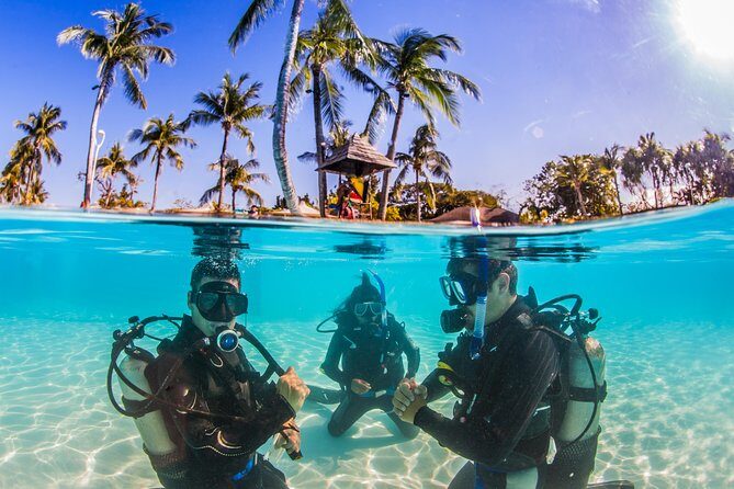Scuba Diver Course (PADI) - A Closer Look at the Experience