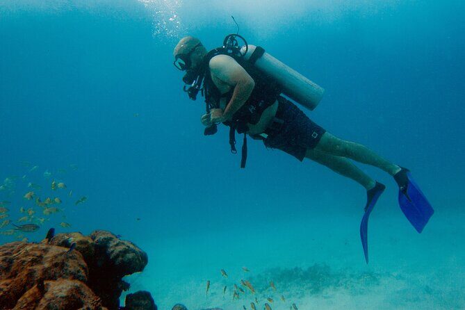Scuba Diving (1st time) in Cancun Beginner's WELCOMED! - A Deep Dive into the Itinerary and What You Can Expect