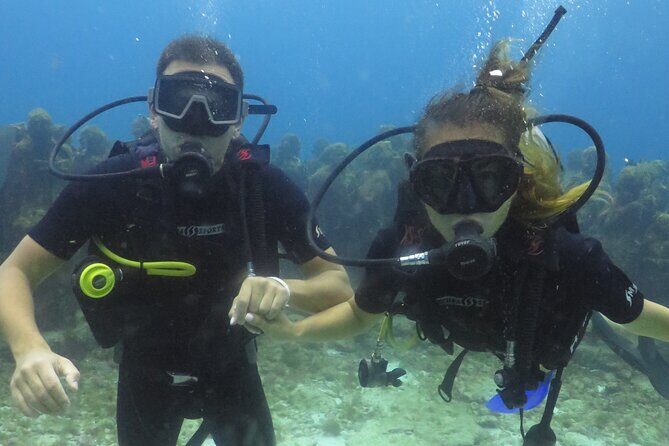Scuba Diving (1st time) in Cancun Beginner's WELCOMED! - What The Reviews Tell Us