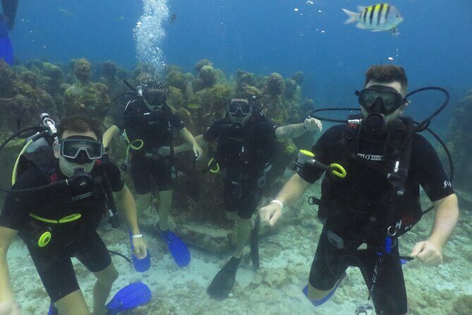 Scuba Diving (1st time) in Cancun Beginner's WELCOMED! - Who Should Consider This Tour?