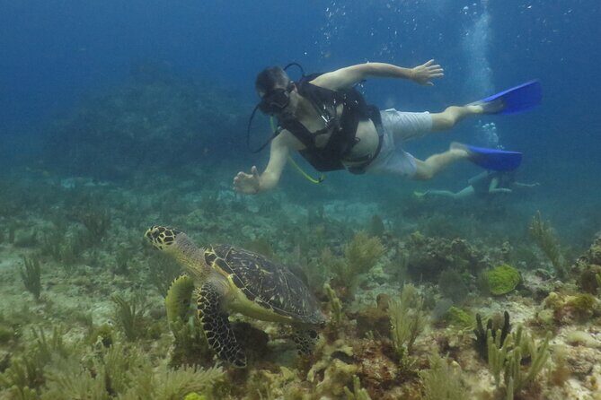 Scuba Diving (1st time) in Cancun Beginner's WELCOMED! - Final Thoughts