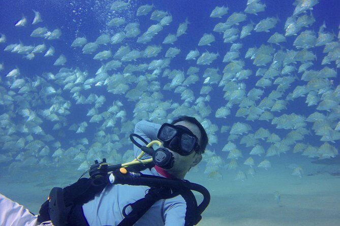 Scuba Diving - Authentic Experiences from Reviewers