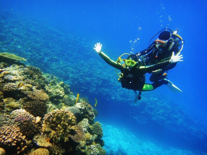 Scuba Diving 3 Islands Nha Trang Tour - Breaking Down the Itinerary