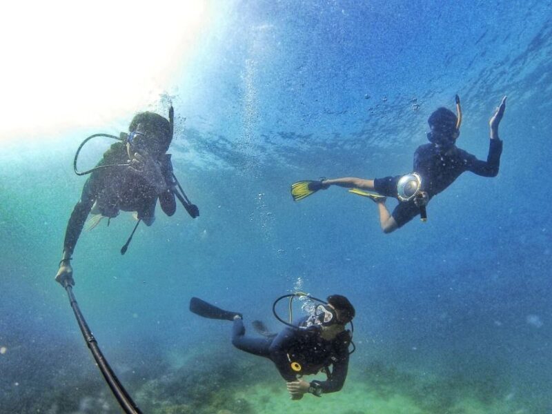 Scuba Diving 3 Islands Nha Trang Tour - FAQs