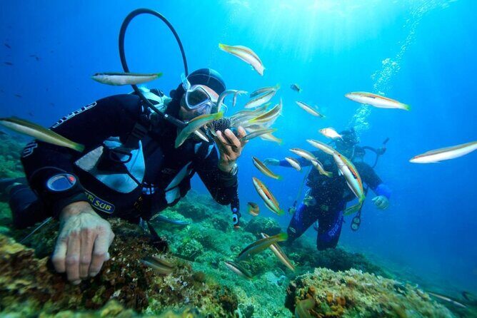 Scuba Diving Adventure and Coral Reefs in Nha Trang - Who Would Benefit Most?