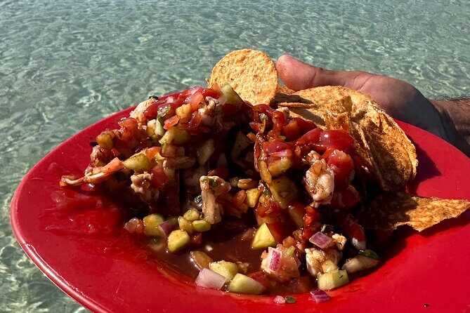 Scuba Diving Adventure in La Paz - Who Should Consider This Tour?