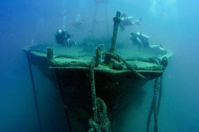 Scuba Diving Adventure in La Paz - Final Thoughts