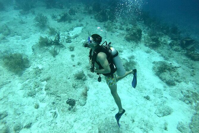 Scuba Diving Adventure in Riviera Maya Small Group Experience - Key Points