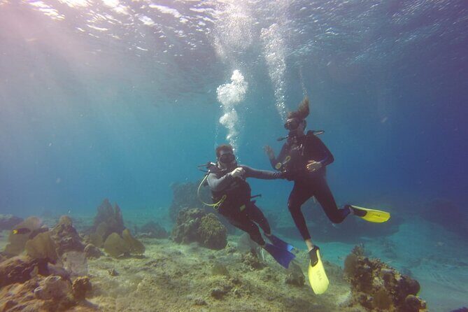 Scuba Diving Adventure in Riviera Maya Small Group Experience - Who Will Love This Tour?