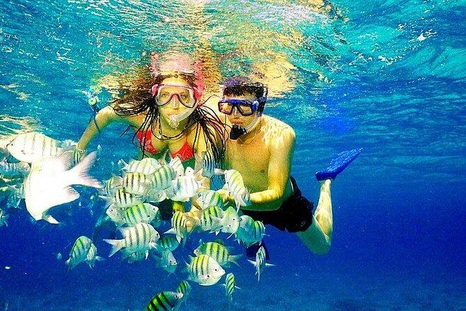 Scuba Diving at Catalina Island - All Inclusive - Full Day Tour - The Two Main Dive Stops: What Makes Them Special