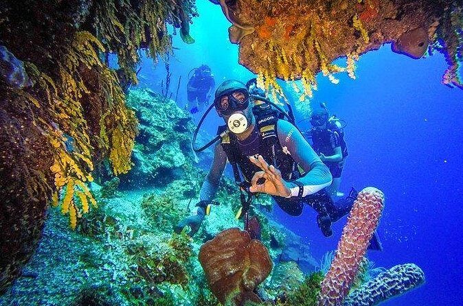 Scuba Diving at Catalina Island - All Inclusive - Full Day Tour - What Travelers Say
