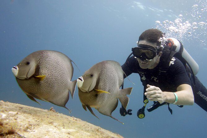 Scuba diving at MUSA the underwater museum for certified divers - Who Will Love This Experience?