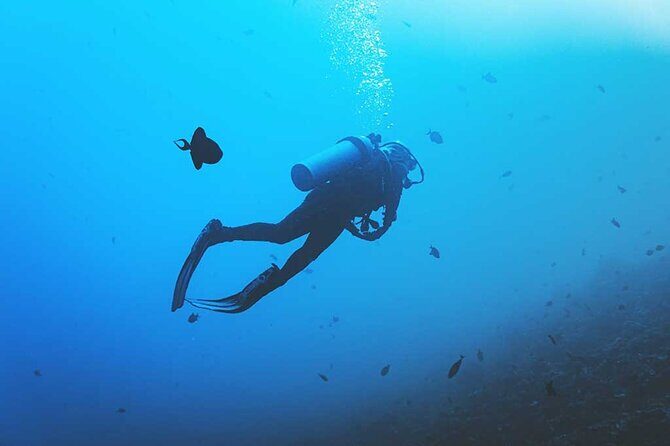 Scuba Diving Beginner Course - Final Thoughts: Is This the Right Choice for You?