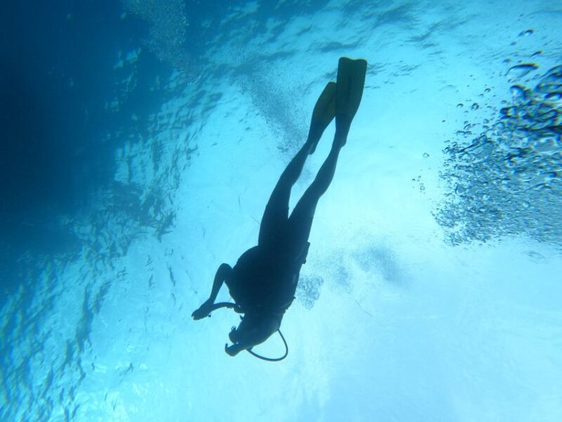Scuba Diving Excursion in the Marine Protected Area - Introduction: An Authentic Underwater Experience in Sardinia