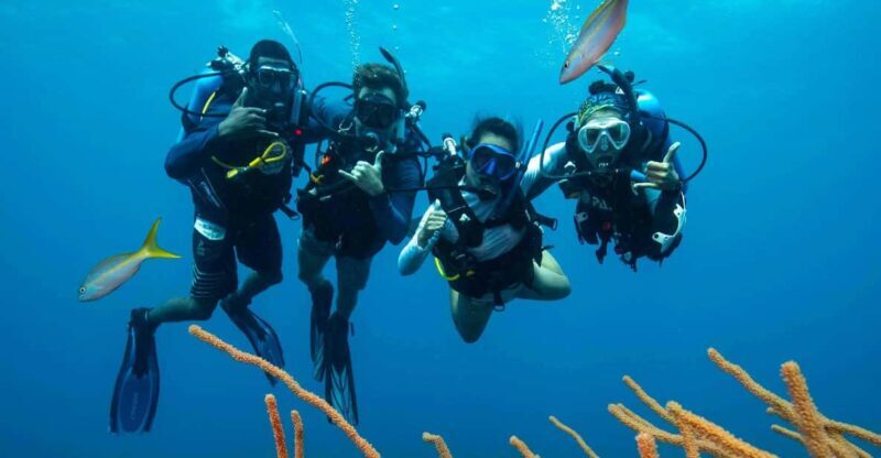 Scuba Diving Experience for Beginners In Greece - The Itinerary and What You Can Expect