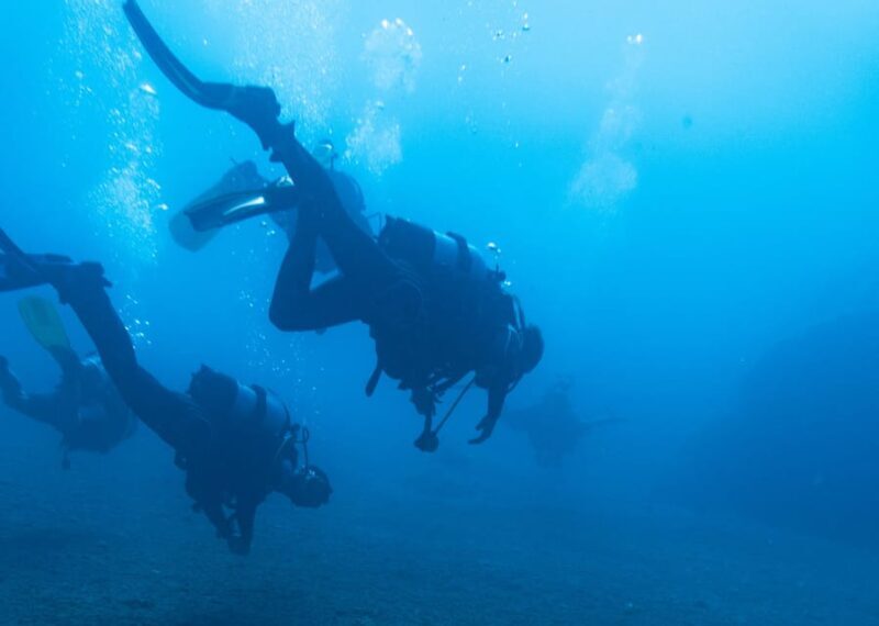 Scuba Diving Experience for Beginners In Greece - The Setting: Saronida’s Underwater Charm