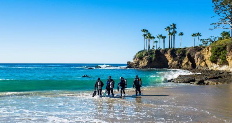 Scuba Diving Experience for Beginners In Greece - The Sum Up