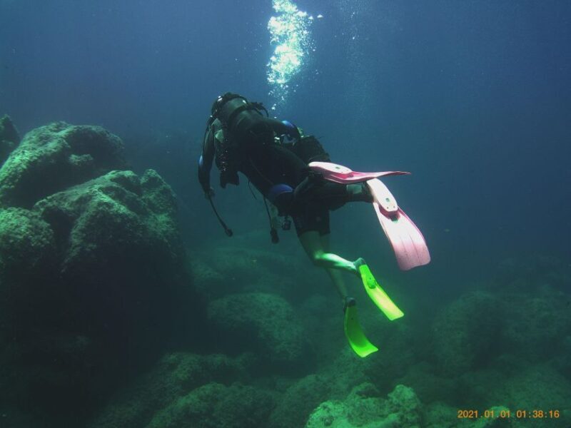 Scuba Diving Experience for Beginners - Final Thoughts: Value, Authenticity, and Fun