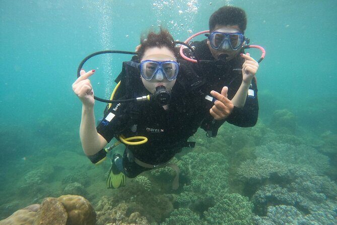 Scuba Diving Experience in Nha Trang Bay - The Itinerary: A Step-by-Step Adventure